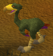 Terrorbird - Bestiary :: Tip.It RuneScape Help :: The Original ...