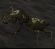 Cave bug - Bestiary :: Tip.It RuneScape Help :: The Original RuneScape ...