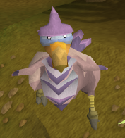 Jubbly Bird - Bestiary :: Tip.It RuneScape Help :: The Original ...