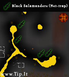 Wilderness Region Map - Pages :: Tip.It RuneScape Help :: The Original ...