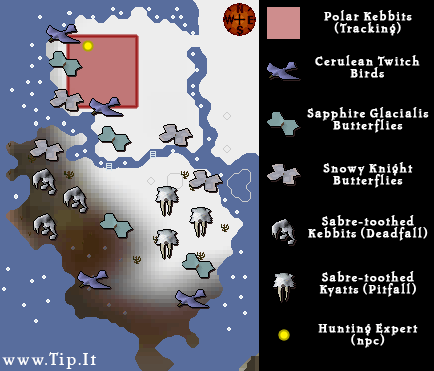 Snow Region Map - Pages :: Tip.It RuneScape Help :: The Original ...