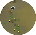 Big Chinchompa - Pages :: Tip.It RuneScape Help :: The Original ...