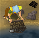 Fishing Guide - Pages :: Tip.It RuneScape Help :: The Original ...