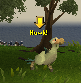Chompy Hunting - Pages :: Tip.It RuneScape Help :: The Original ...
