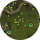 Goblin Raids - Pages :: Tip.It RuneScape Help :: The Original RuneScape ...