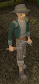 Master Farmer - Npcs :: Tip.It RuneScape Help :: The Original RuneScape ...